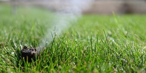 What is a Sprinkler Blowout and Why Does It Matter? | A Greener South