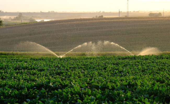 Commercial Irrigation Systems, Monroe | A Greener South [Infographic]