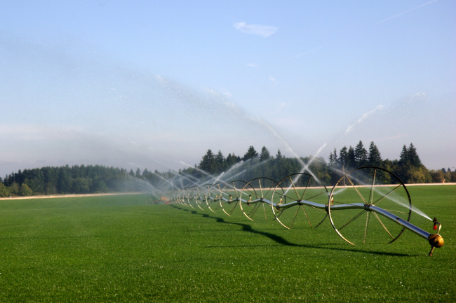The Essentials of Commercial Irrigation Installation | A Greener South