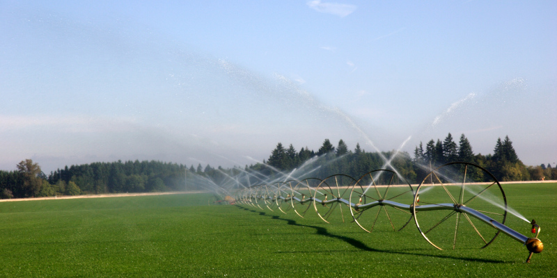The Essentials of Commercial Irrigation Installation | A Greener South