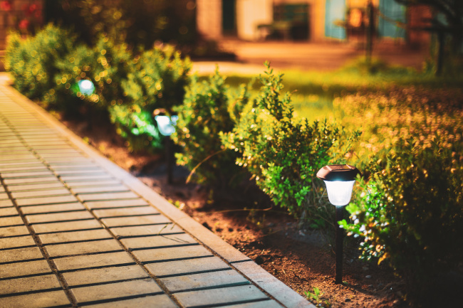 Light Up Your Path with Solar Path Lights | A Greener South